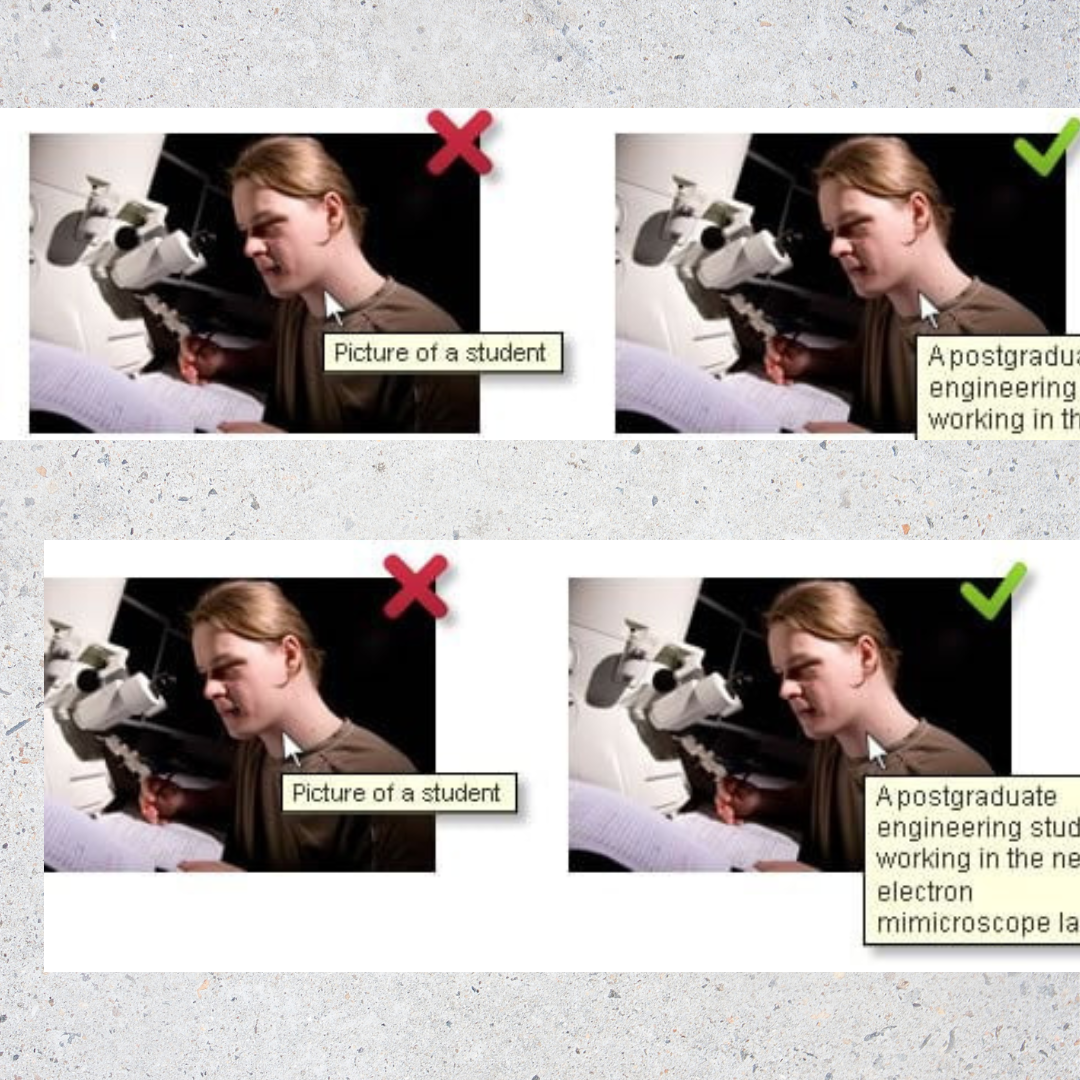 Alt text is essential for description of images, videos for top ranking ...